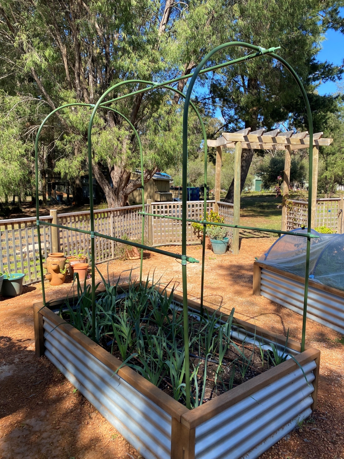 » Tomato HouseThe Veggie Patch Shop