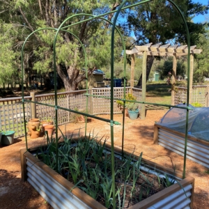 » Tomato HouseThe Veggie Patch Shop