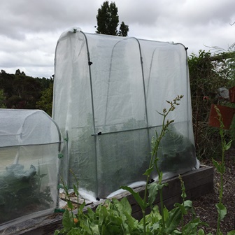 Tomato House | The Veggie Patch Shop